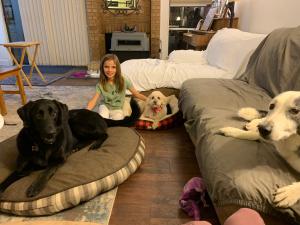 Pet Sitting Rates: Overnight and In-Home | 2021 Prices (average)