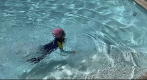 Private Swim Lessons Cost: Individual, Group Lesson Prices (2020 avg)