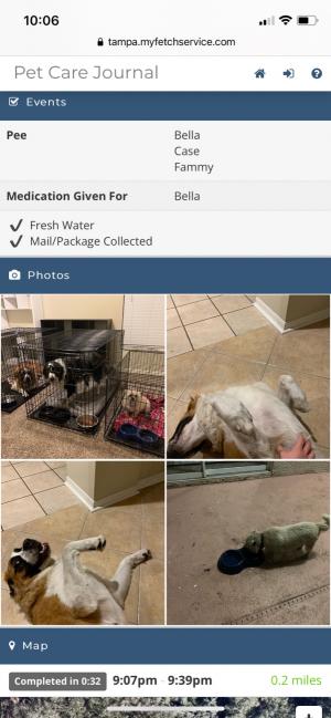 Pet Sitting Rates: Overnight and In-Home | 2021 Prices (average)