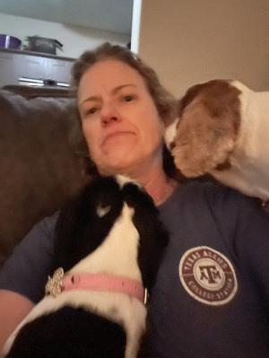 Pet Sitting Rates: Overnight and In-Home | 2024 Prices (average)