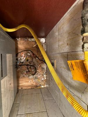 2024 Pest Control Costs | Pros Explain Exterminator Price Factors